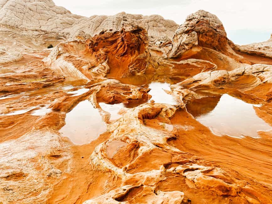 Kanab: White Pocket Rock Formation Small Group Tour - Why White Pocket Is an Unmissable Destination