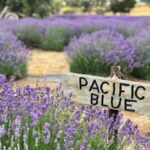 Kangaroo Island Full Day Tasting Tour - Exploring the Itinerary in Detail