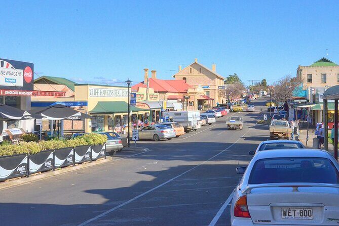 Kangaroo Island Half-Day Tour - The Experience: Pros and Cons