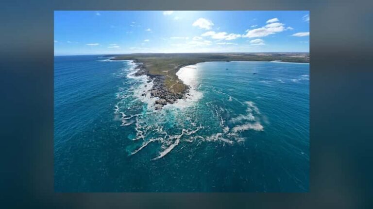 Kangaroo Island: Private 4WD Tour with Picnic Lunch - Practical Details and Value