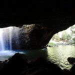 Kangaroos, Rainforest & Waterfalls Experience - Small Group - Final Thoughts