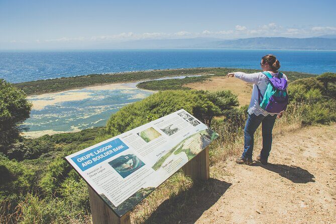 Kapiti Island Classic Guided Day Tour - An In-Depth Look at What the Tour Offers