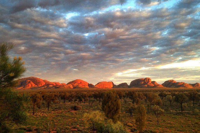 Kata Tjuta Small-Group Tour Including Sunrise and Breakfast - Authentic Insights from Reviewers