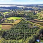 Katikati Avocado Adventure - What to Expect from the Katikati Avocado Adventure