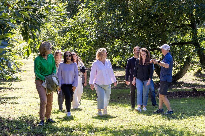 Katikati Gourmet Avocado Tasting - The Value of the Tour