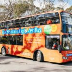 Katoomba: Lyrebird Hop-On Hop-Off and Scenic World Pass - Who Is This Tour Best Suited For?