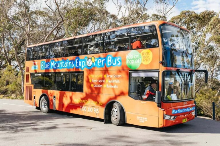 Katoomba: Lyrebird Hop-On Hop-Off and Scenic World Pass - Who Is This Tour Best Suited For?