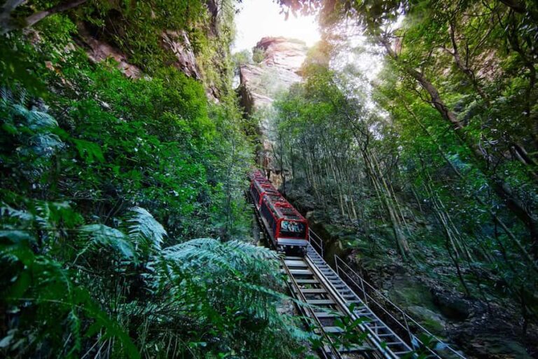 Katoomba: Scenic World 1-Day Unlimited Discovery Pass - Location and Accessibility