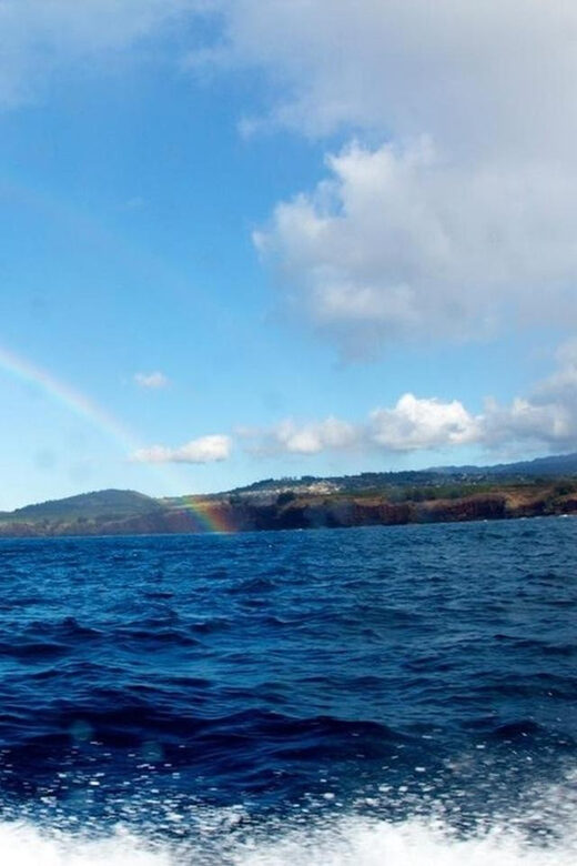 Kauai: 3-Tank Boat Dive for Certified Divers - What to Expect During the Dive Day