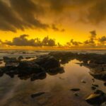 Kauai East Side and North Shore: Waterfalls & Beaches Tour - The Value of This Tour