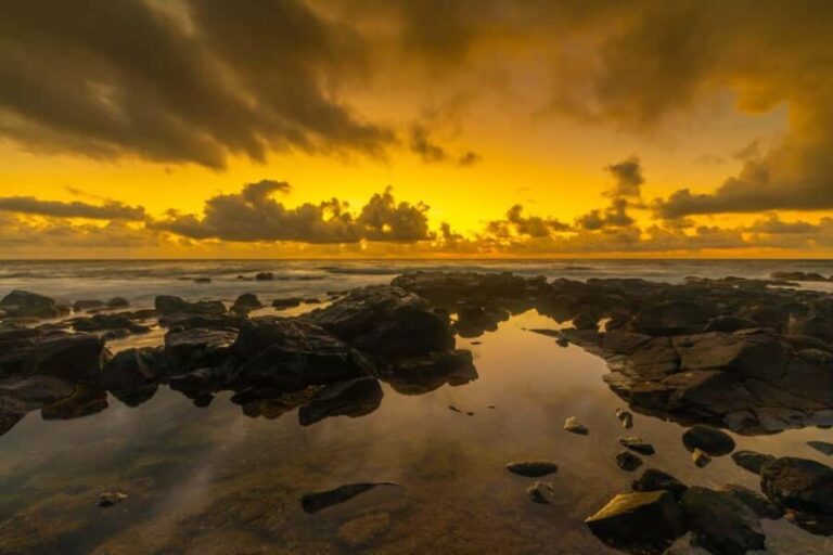 Kauai East Side and North Shore: Waterfalls & Beaches Tour - The Value of This Tour