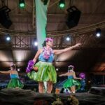 Kauai: Luau Kalamaku  Elevated Seating, Dinner & Show - Who Should Consider This Tour