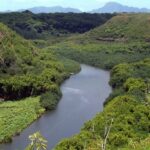 Kauai Northeast Tour, Fern Grotto River Cruise & Lighthouse - First Impressions and Overall Experience