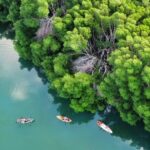 Kayak Activity in Nichupte Lagoon opt. Roundtrip transportation - The Experience in Detail