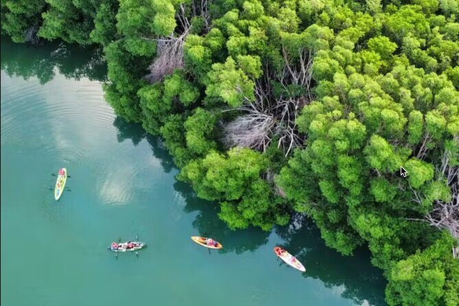 Kayak Activity in Nichupte Lagoon opt. Roundtrip transportation - The Experience in Detail