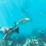 Kayak + Guided Snorkel & Morning Sail - FAQ