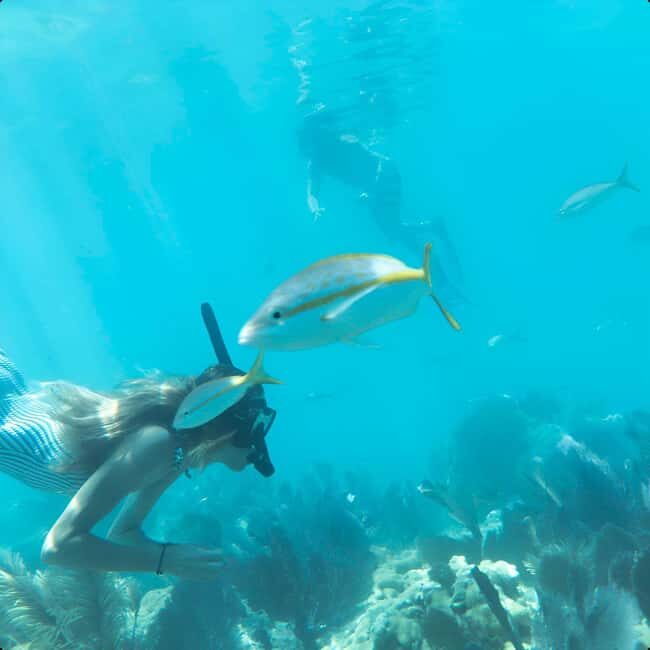 Kayak + Guided Snorkel & Morning Sail - FAQ