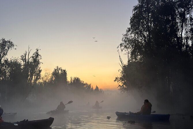 Kayak one more Sunrise Adventure in Xochimilco - Who Will Get the Most Out of This Tour?