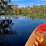 Kayak Rental (2hr) - Blue Spring State Park - Final Thoughts: Who Is This Tour Best For?