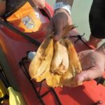 Kayak Sian Kaan Biosphere Reserve Sunset Tour - Authentic Experiences Shared by Reviewers