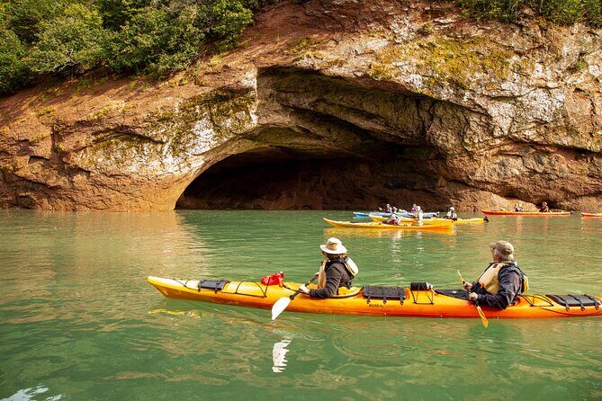 Kayak the Bay of Fundy Sea Caves - Authentic Insights from Reviewers