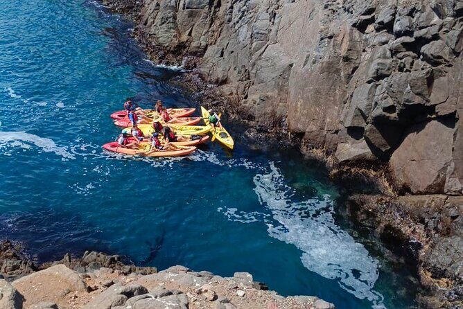 Kayak The Jacket and Flea market Private Tour - What Reviewers Say