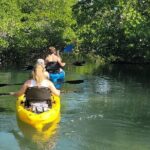 Kayak through Mangrove Forests in the Florida Keys - The Itinerary: What to Expect and Why It Matters