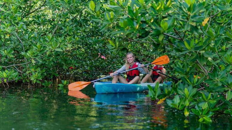 Kayak Tour in Cancun with Photos included - Why You Should Consider This Tour