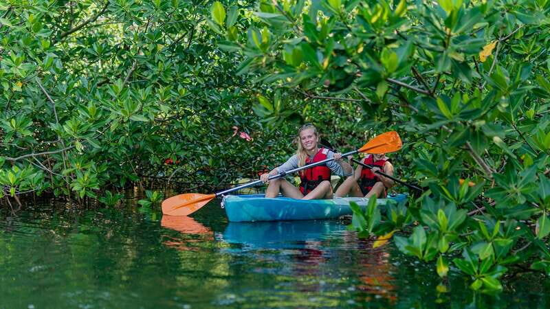 Kayak Tour in Cancun with Photos included - Why You Should Consider This Tour