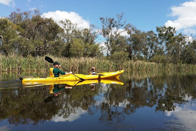 Kayak Tour on the Canning River - What Reviewers Say