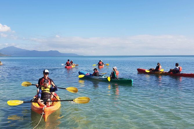 Kayak Turtle Tour from Palm Cove - Wildlife Encounters and Unique Experiences