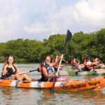 Kayaking Adventure at the Nichupte Lagoon in Cancun - The Sum Up: Is This Tour Right for You?