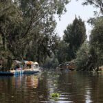 Kayaking adventure through the Xochimilco and Frida Kahlo Canals - Exploring the Canals of Xochimilco: A Floating Garden Experience