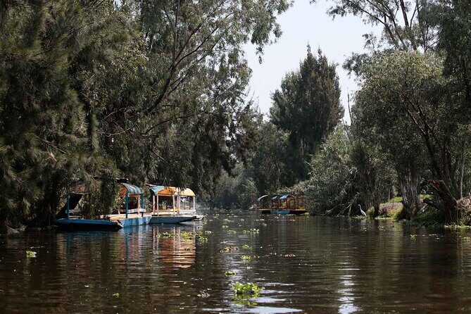 Kayaking adventure through the Xochimilco and Frida Kahlo Canals - Exploring the Canals of Xochimilco: A Floating Garden Experience