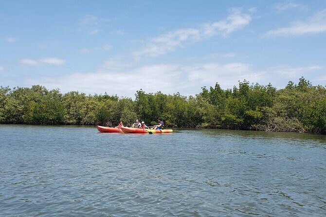 Kayaking Backwaters of New Smyrna Beach Ecotour/Birdwatching - Final Thoughts: Who Should Consider This Tour?
