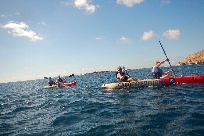 Kayaking & Snorkeling in the Spectacular Waters of Los Cabos - Who Is This Tour Best For?