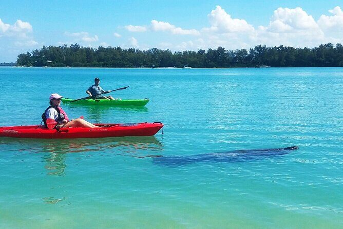 Kayaking with coastal wildlife in Sarasota Bay - Itinerary Breakdown
