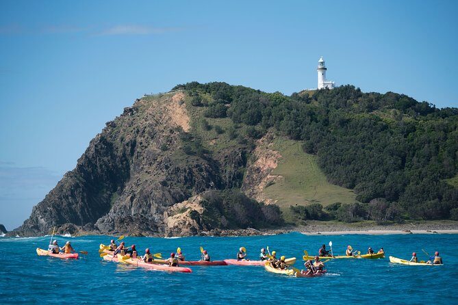 Kayaking with Dolphins in Byron Bay Guided Tour - Final Thoughts: Who Will Love This Tour?