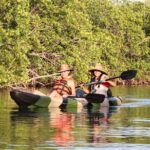 Kayaks at the Mangroves Lagoon Ecosystem from Cancun - Who Will Love This Experience?