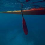 Kealakekua Bay: Guided Kayak & Snorkel Adventure - The Sum Up