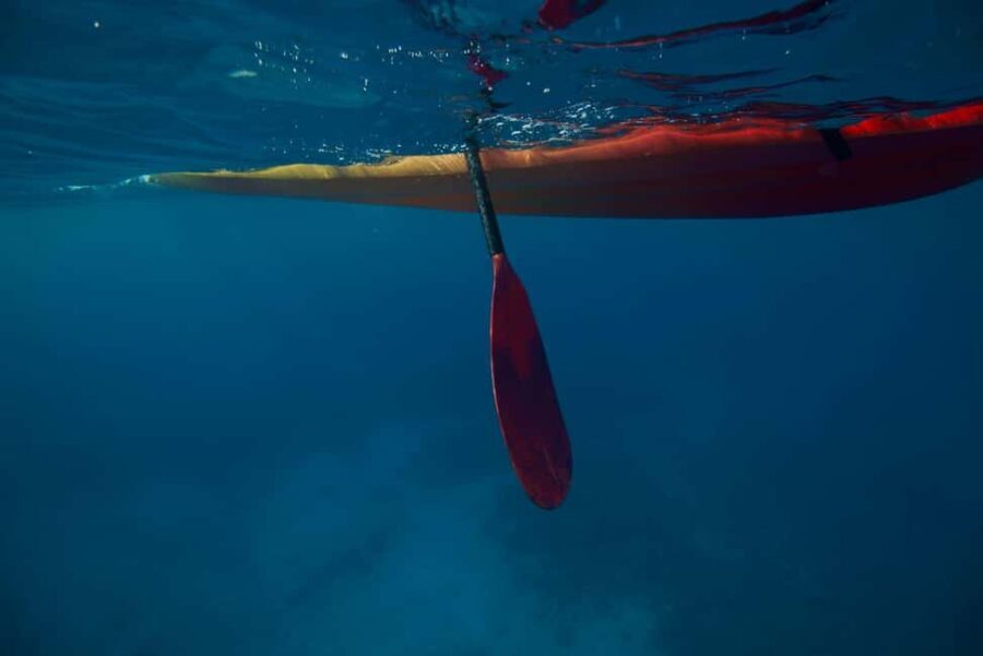 Kealakekua Bay: Guided Kayak & Snorkel Adventure - The Sum Up