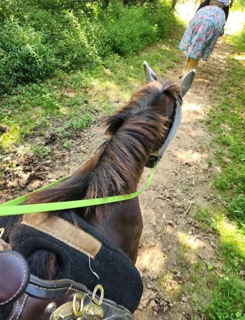 Keeneland: Horseback Riding Experience with Guide - The Scenic Landscape and Its Charm