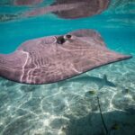 Keishi Tour Half Day Shared Excursion - Who Is This Tour Perfect For?