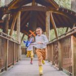 Kennett Square: Longwood Gardens Admission Ticket - Discovering Longwood Gardens: A Garden of Every Season