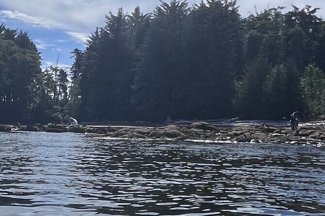 Keogh River Bear Kayaking Tour - What to Expect from the Experience