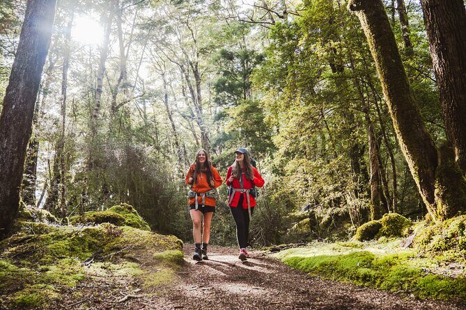 Kepler Track Water Taxi - What Makes This Water Taxi Special?