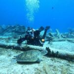 Key Largo: 2-Tank Shallow Reef Dive with Guide & Photos - The Reefs and Their Highlights
