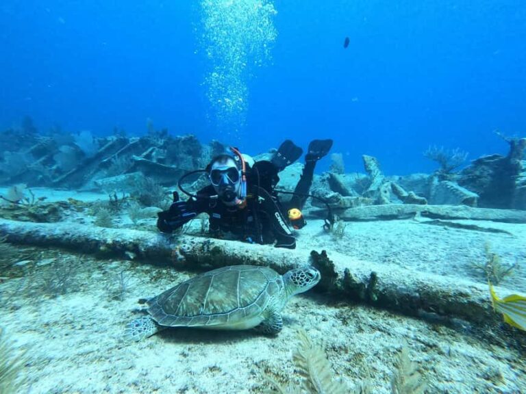 Key Largo: 2-Tank Shallow Reef Dive with Guide & Photos - The Reefs and Their Highlights