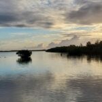 Key Largo Mangrove Private Eco-Tours - What You’ll See and Learn