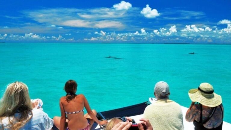 Key West: Dolphin Watching and Snorkeling Eco Cruise Tour - Snorkeling in the Backcountry